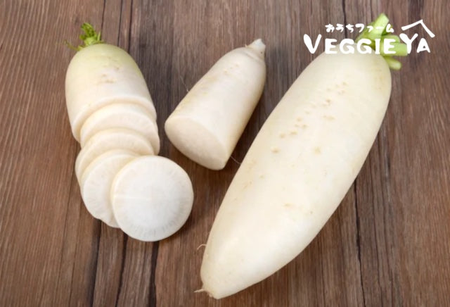 All Products – VEGGIE YA
